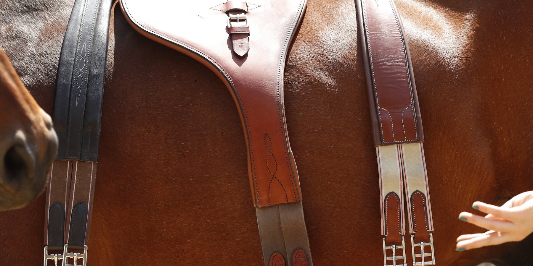 Shop Consigned Horse Girths | The Tried Equestrian