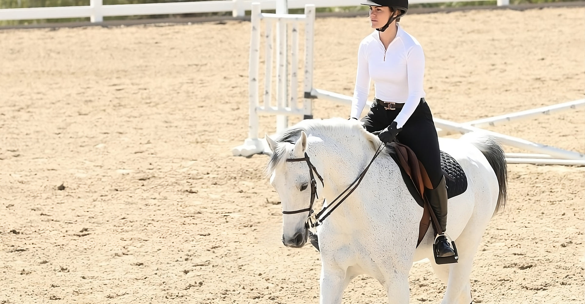 About The Tried Equestrian | Online Horse Riding Consignment
