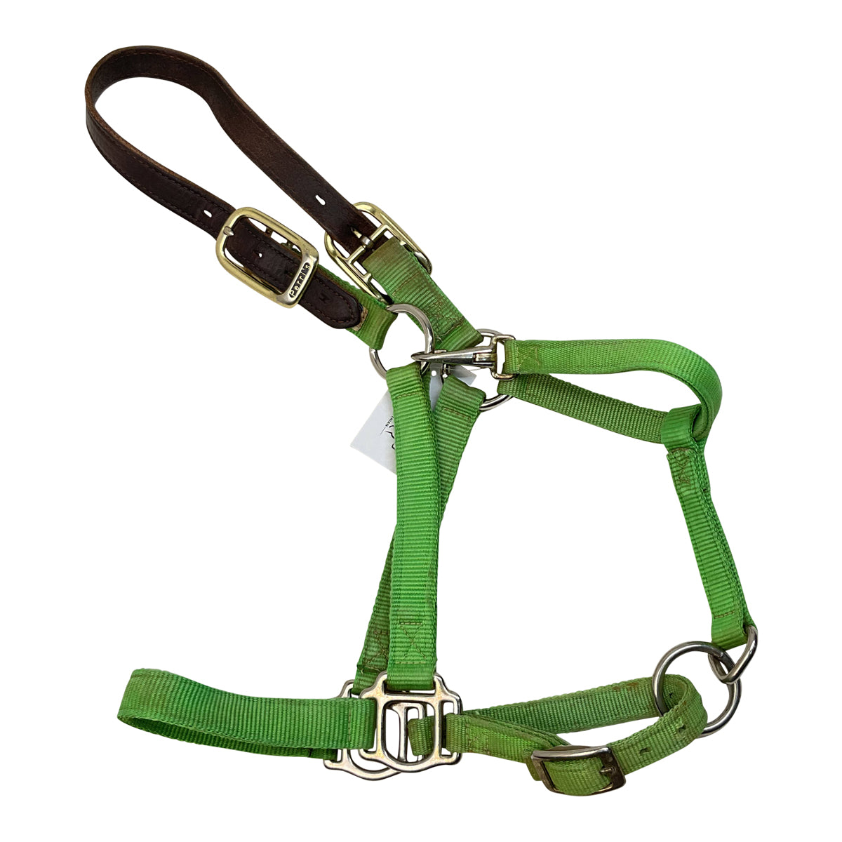 Perri's Premium Safety Halter in Green - Full – The Tried Equestrian