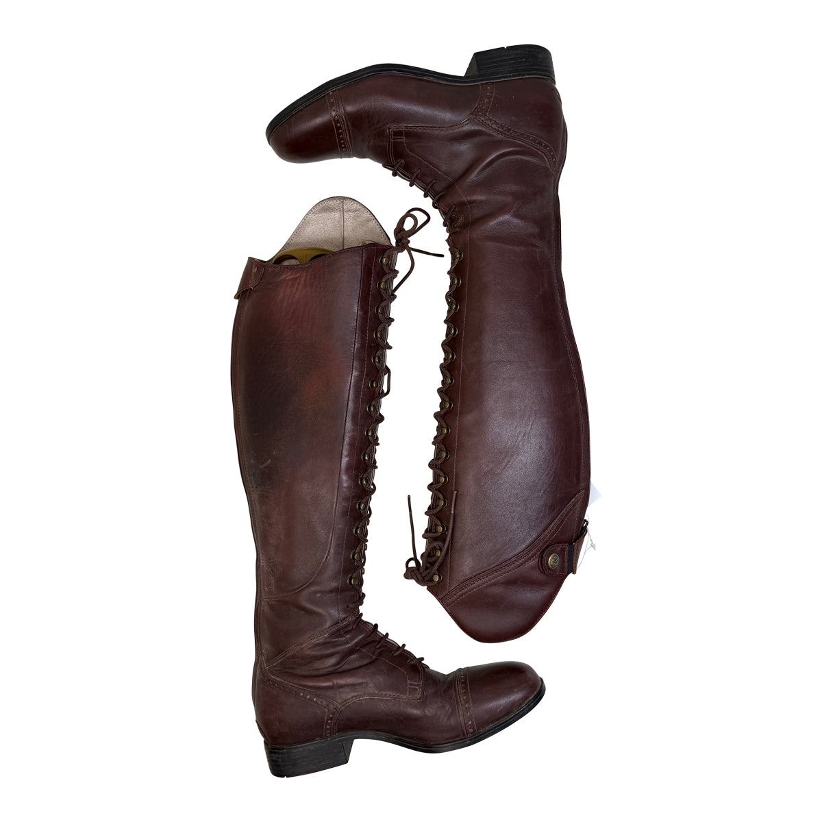 Ariat Lace Tall Riding Boot in Brown - Women's 8B (Med/Slim) – The ...