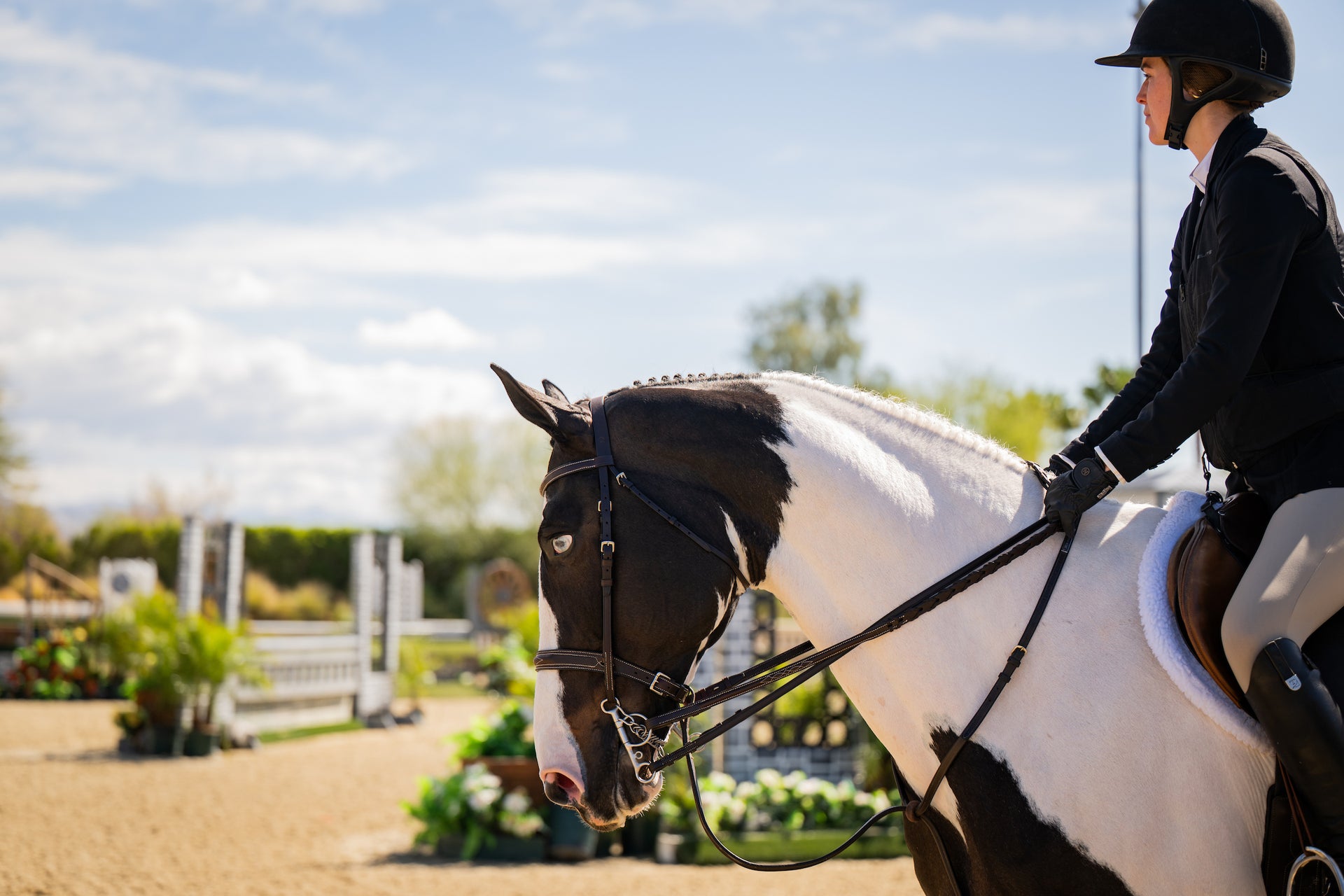 Discounted Tack and Equestrian Riding Apparel – The Tried Equestrian