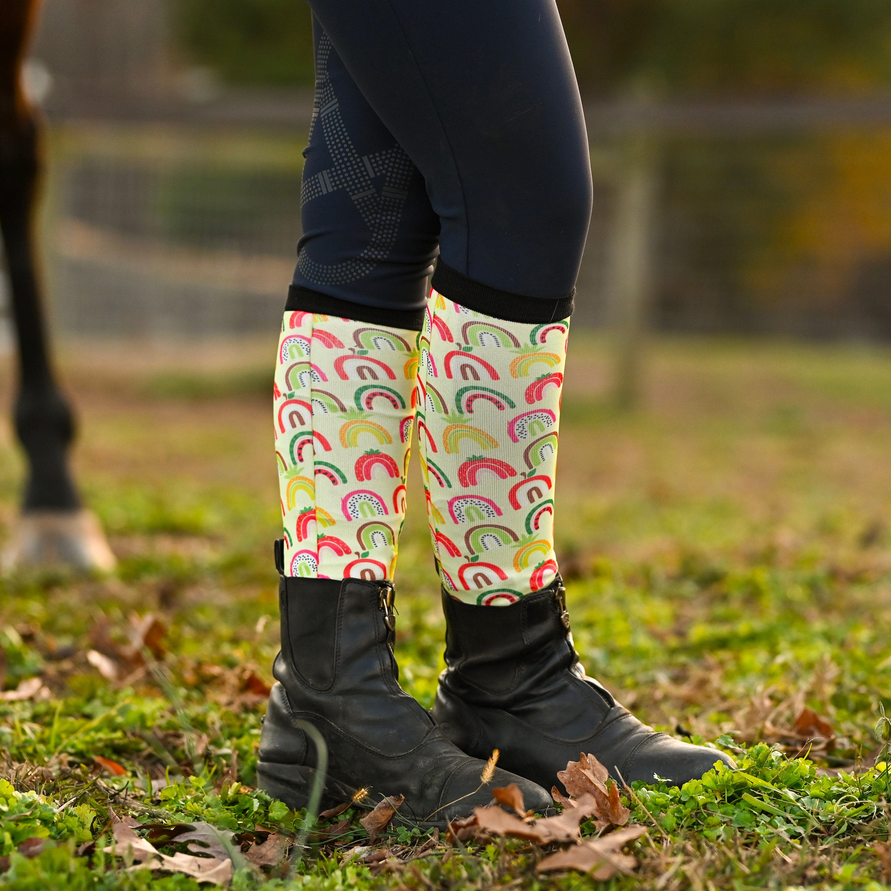 Dreamers & Schemers Boot Socks in Fruit Rainbows - Youth One Size – The ...