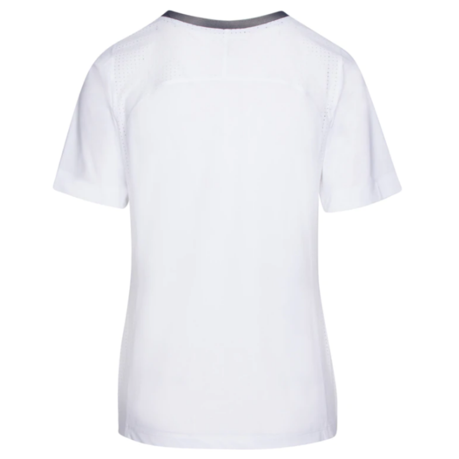 CALLIDAE – The Tried Equestrian